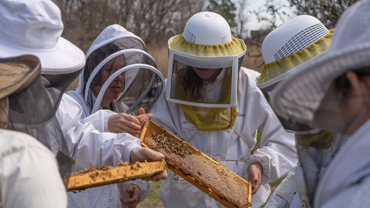 Great Plains Master Beekeeper Training Program | Bee Lab | Nebraska