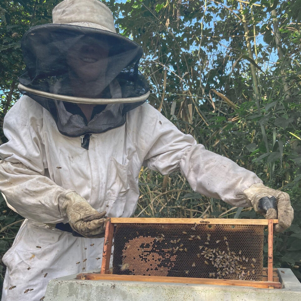 Andres Hayes | Bee Lab | Nebraska